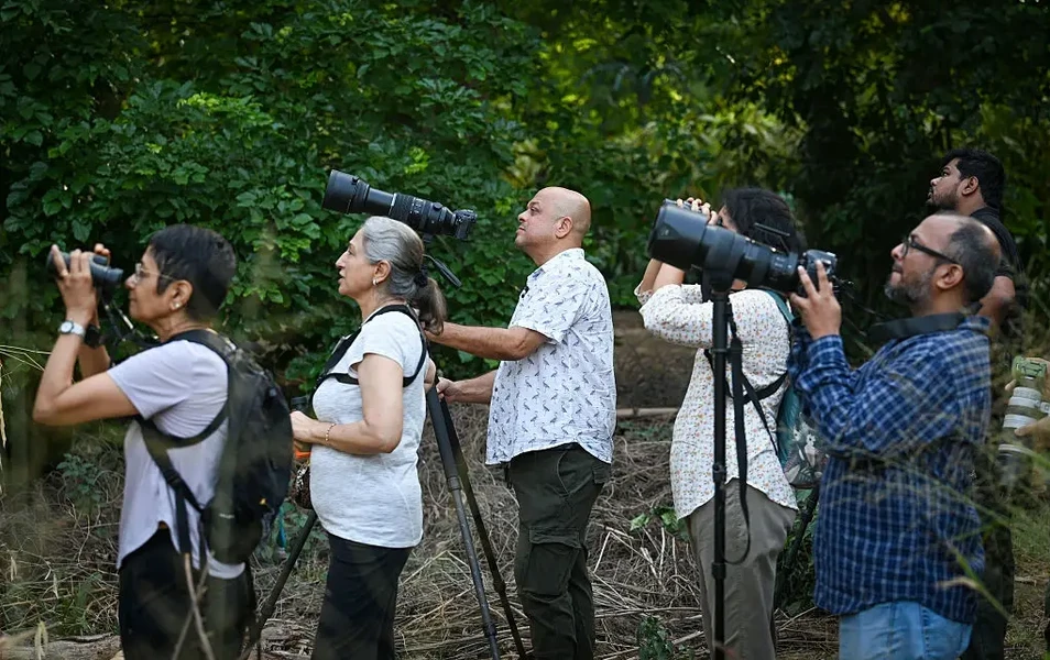 How everyday people are helping wildlife conservation
