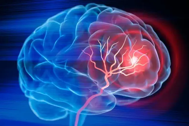 El guardián oculto del cerebro: este es el gen que trabaja en silencio ...
