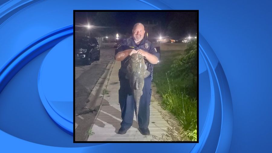 Wisconsin police officer helps catch colossal catfish