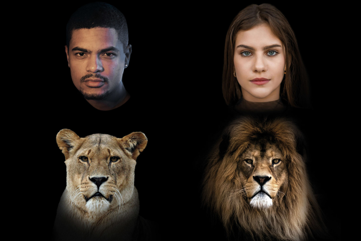 People across cultures find women's faces to be more attractive than ...