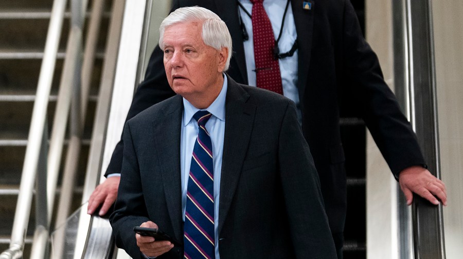 Live results: Graham faces tough South Carolina Senate primary