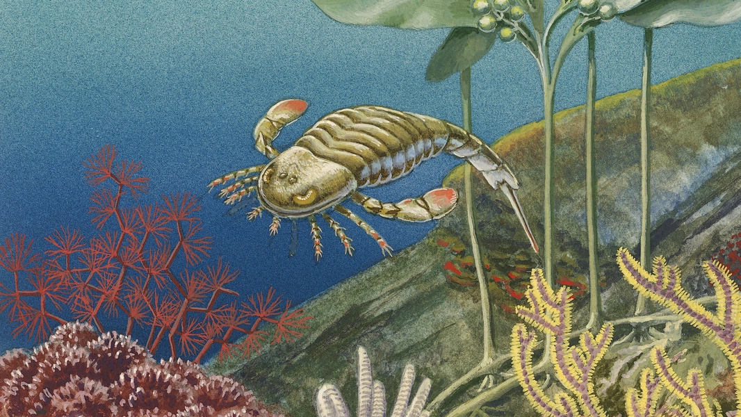 Fossil study links asexual reproduction to early evolution slowdown