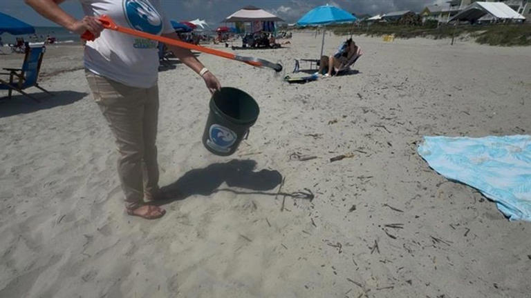 Worth Avenue Association revives Turtle Tuesday beach cleanups for ...