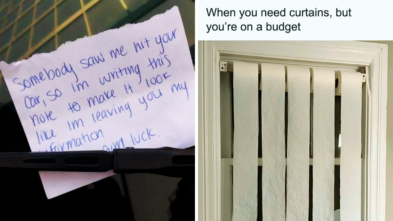 17 photos that will have you in stitches