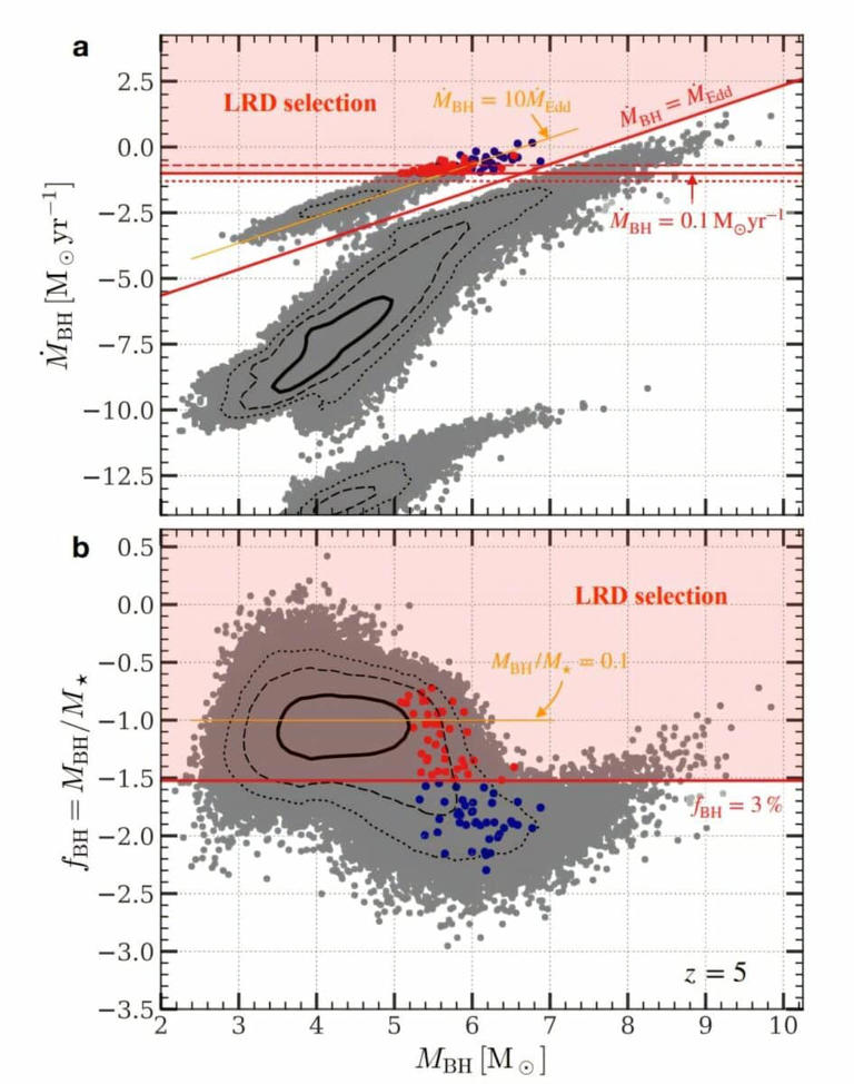 Little red dots may reveal how black holes grew in the early universe