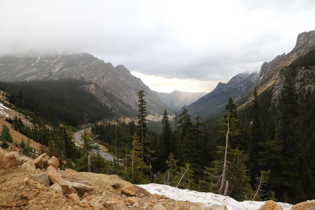 Scenic highway detour that Washington state road trippers are obsessed ...