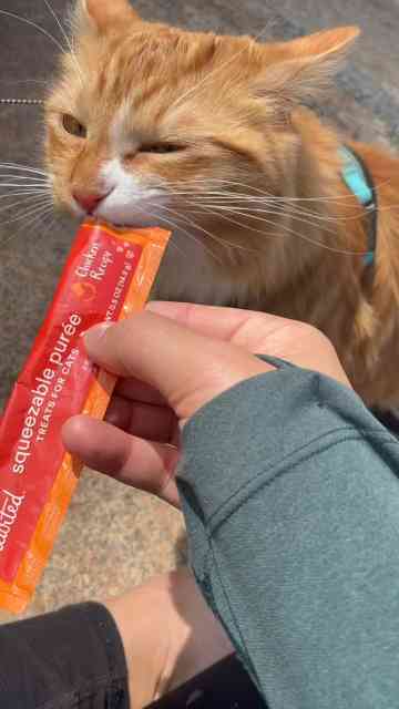 Whats Your Favorite Snack