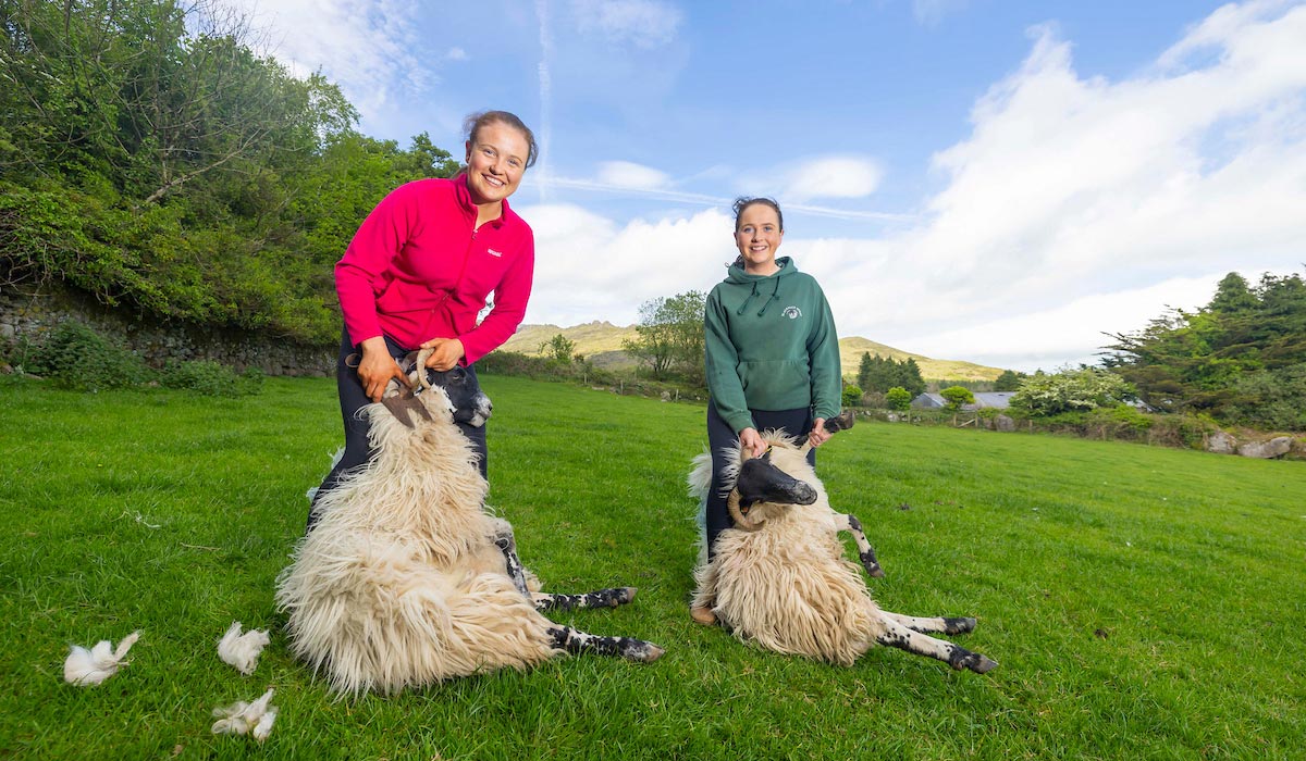 Ireland’s most distinctive festival returns next month
