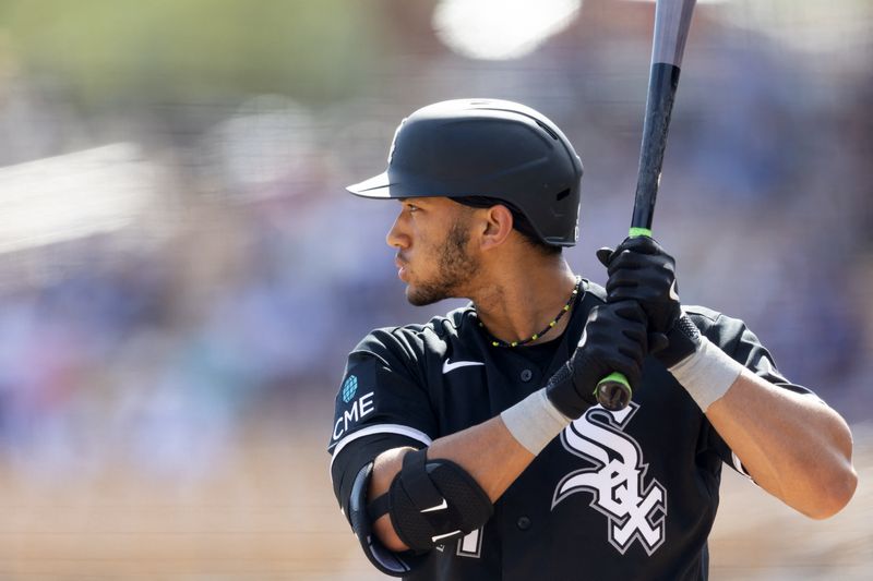 White Sox promote top OF prospect Braden Montgomery