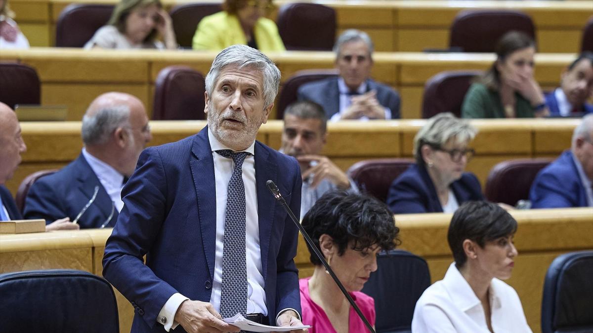 Marlaska niega que pusiera escolta a Leire Díez y reitera que Mercedes ...