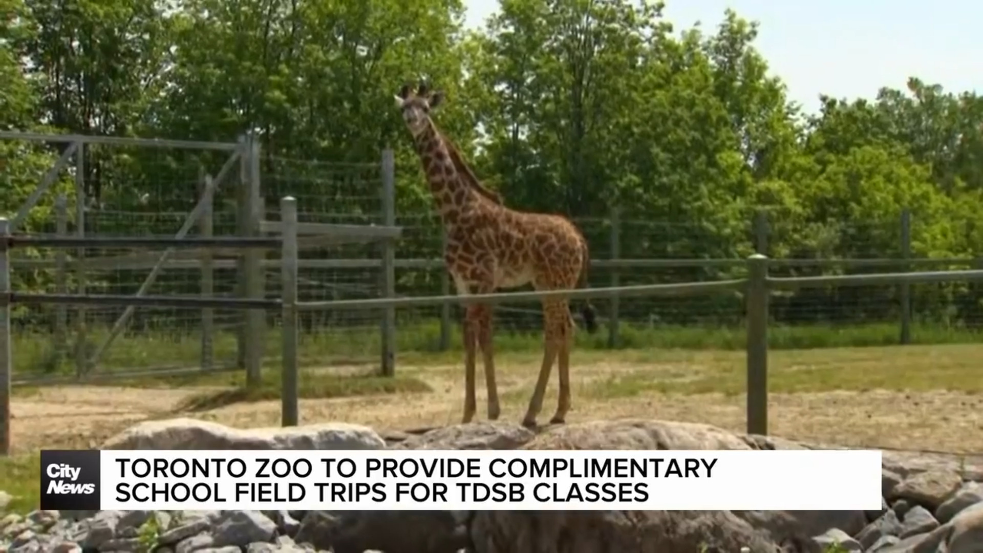 Toronto Zoo, City of Toronto to provide complimentary school field ...