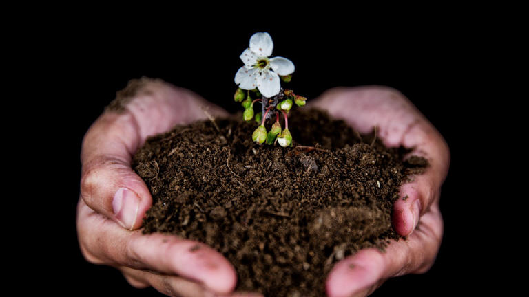 A teaspoon of soil holds more microbes than there are people on Earth