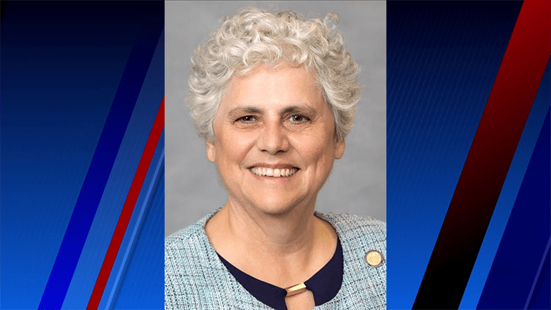 Rep. Sarah Stevens resigns from North Carolina House to focus on court race