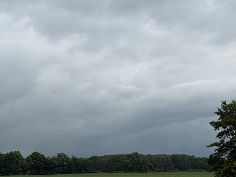 Tornado warning issued for Saginaw, Genesee counties. See radar