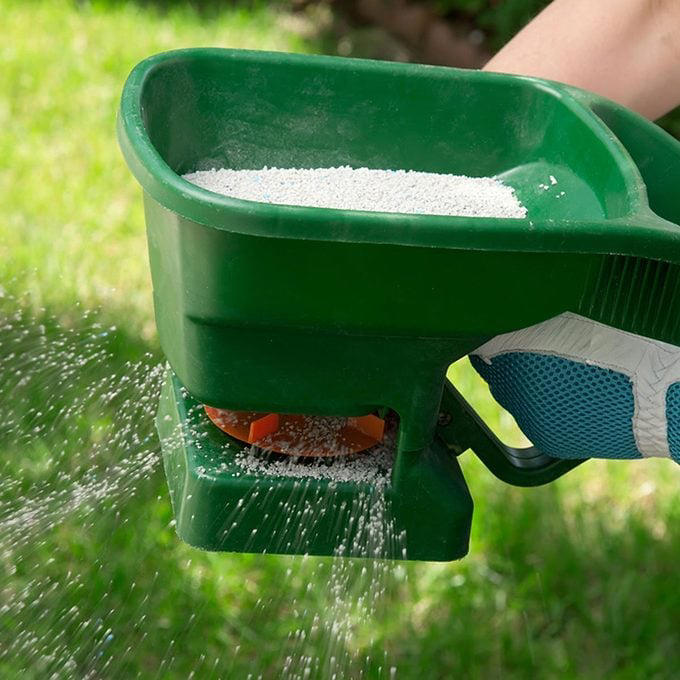7 tips for growing a healthy lawn