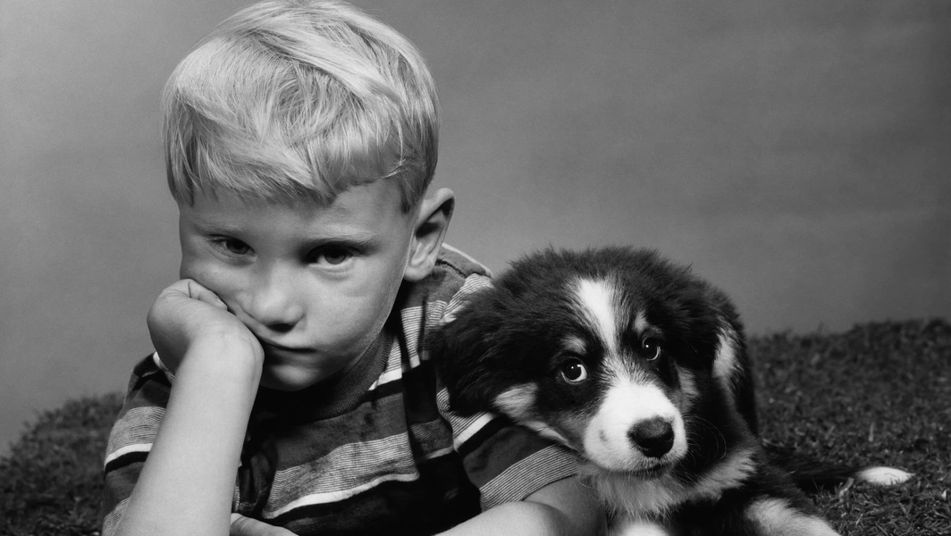 Two viral dog stories show deep emotional bonds with owners
