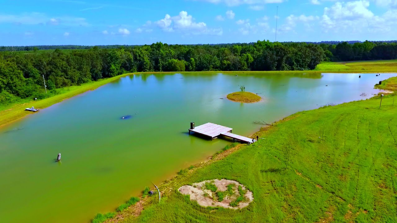 I built a 5-acre pond for my bass!🐟