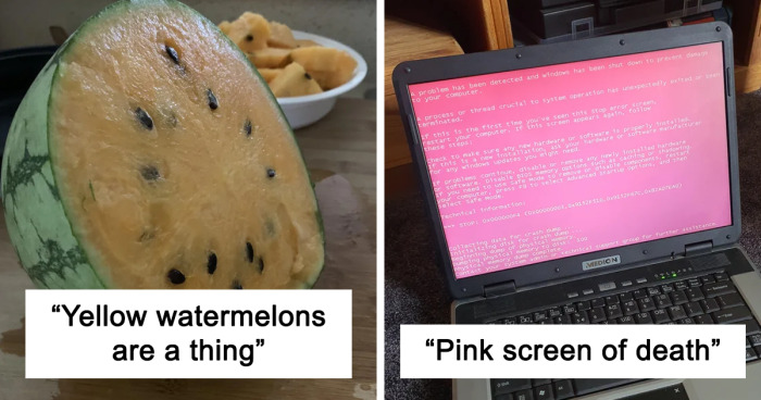 40 real-life encounters that felt like a glitch in reality