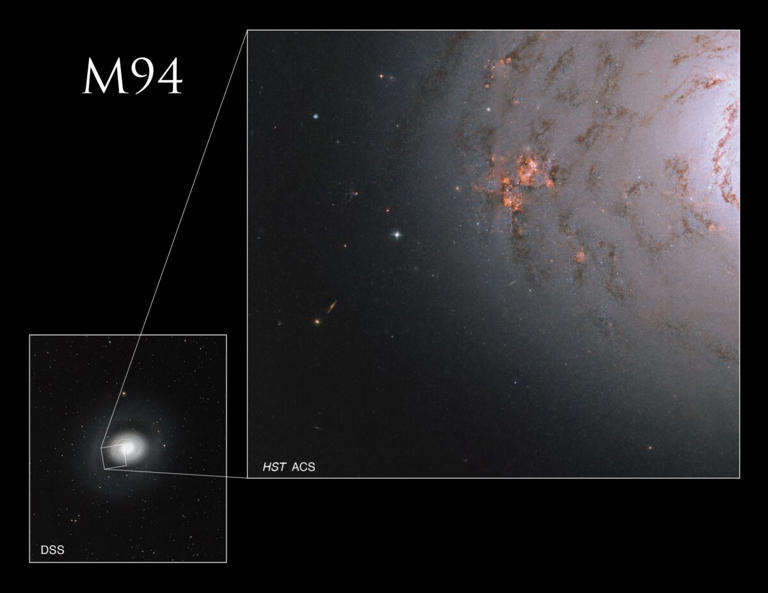 An amateur astronomer built a backyard observatory for two years, now ...