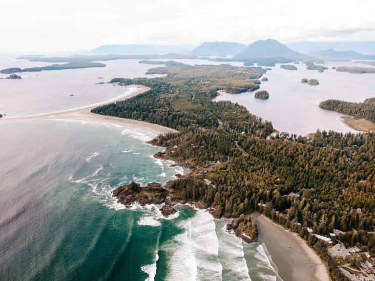 Une étude prévoit des centaines de morts en cas de tsunami majeur à Tofino