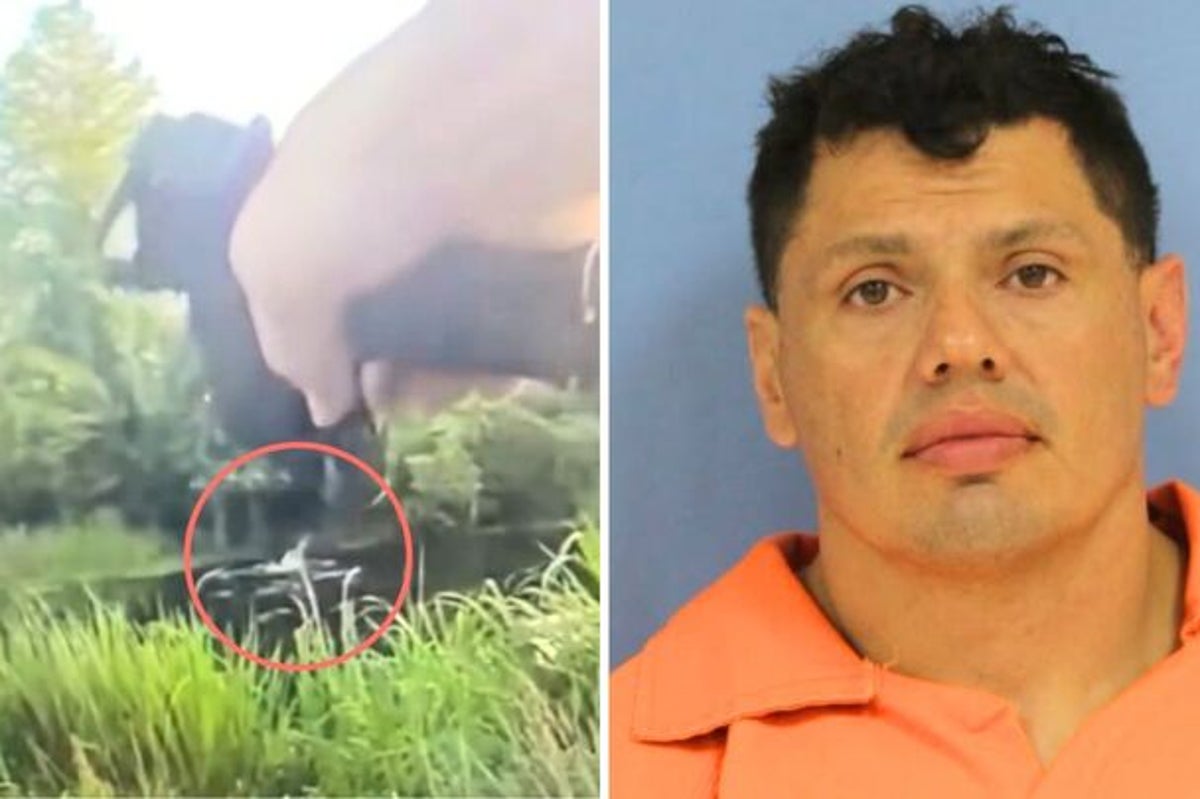 Bodycam shows alligator attack man fleeing DWI in swamp, police say