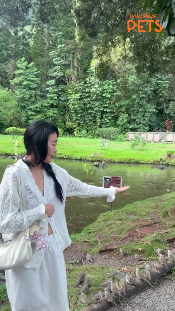 Woman surrounded by birds in scene straight out of a Disney movie