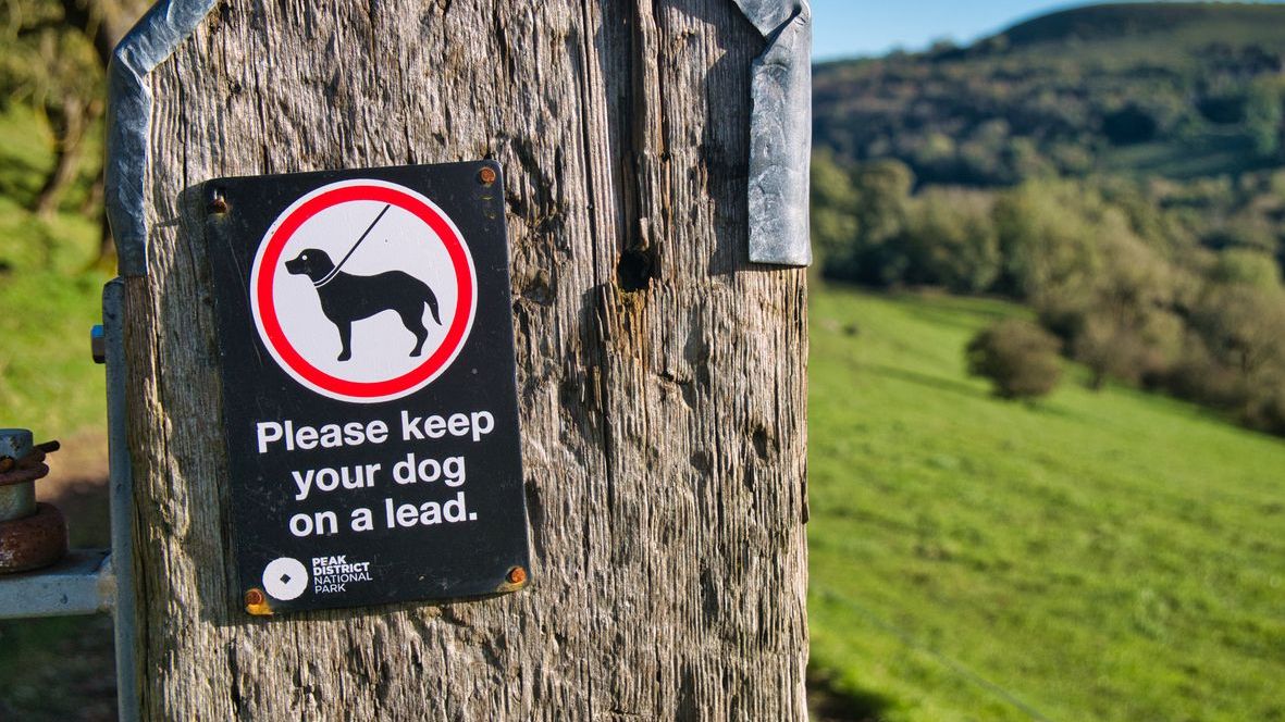 Dog walkers face new £500 fines from June 29