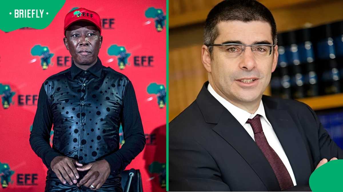 Julius Malema takes aim at Madlanga Commission commissioner Matthew ...