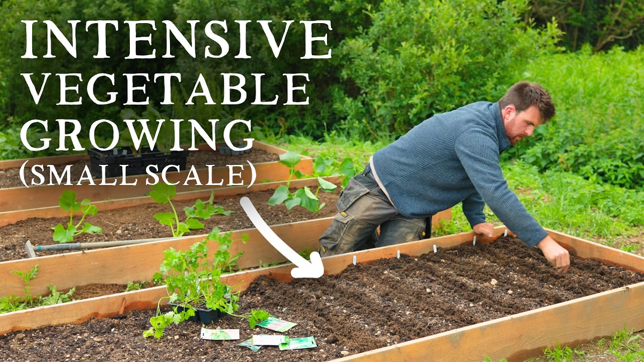 Crop layout & first plantings of the micro self-sufficiency garden