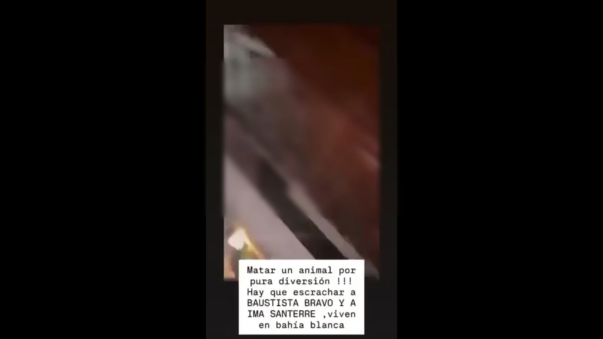 Denuncia penal a dos jóvenes por matar a patadas a una nutria en Bahía ...