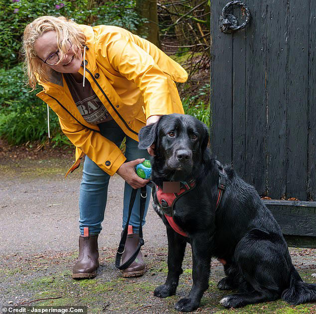 Dog somehow dodged death after it survived a horror 50ft plunge from a ...