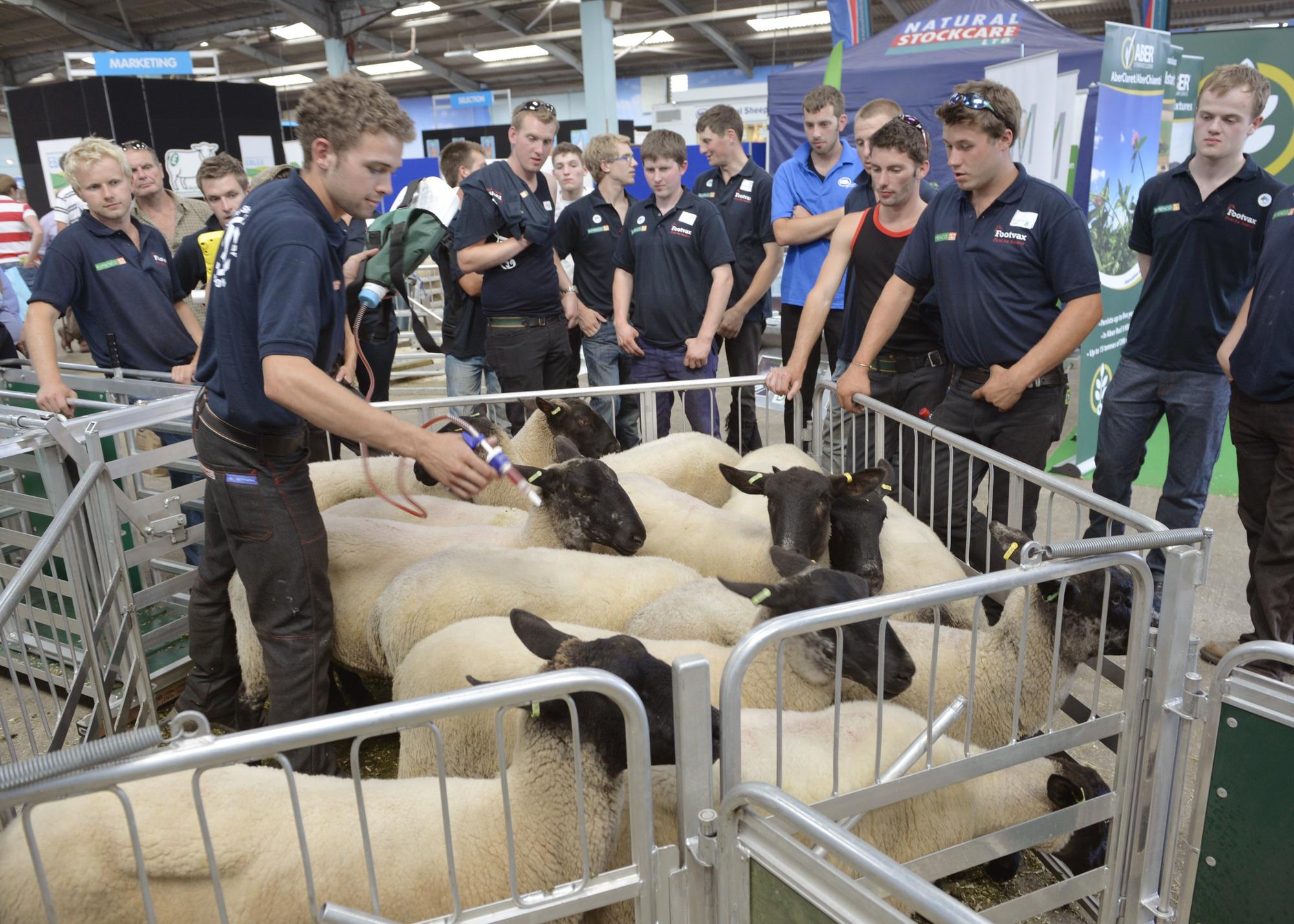 20 farming life photos from 2016 that tell an interesting story