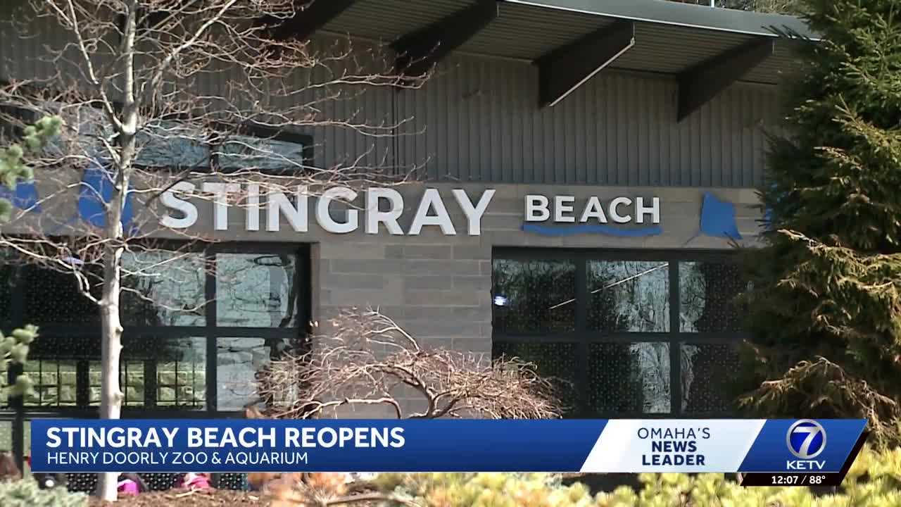 Henry Doorly Zoo and Aquarium announces birth of two stingray pups