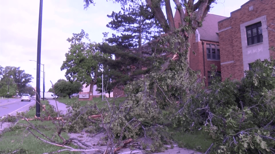 Salina will conduct citywide limb pickup after severe storm