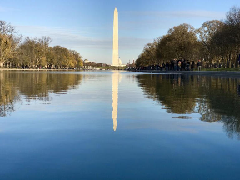 The 5 best things to do in DC with kids