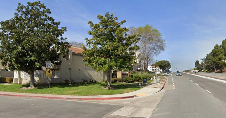 'Waited half a day': 81-year-old woman found stuffed in pullout couch ...