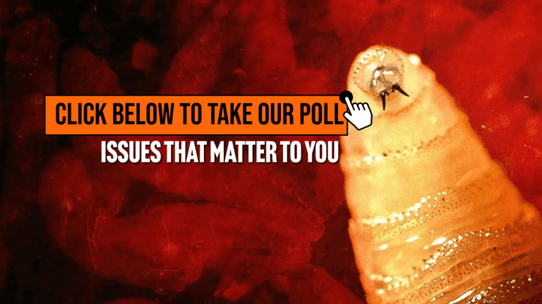 POLL: How concerned are you that screwworms could affect your pets or ...