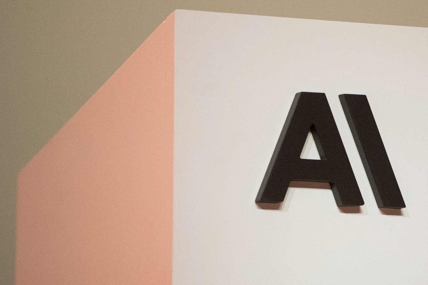 Anthropic suspends new AI models after government directive