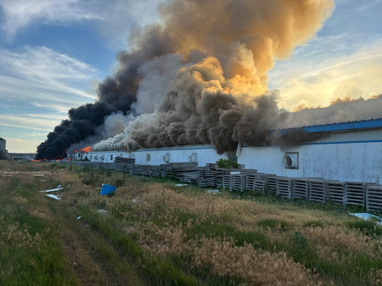 Napanee barn fire causes millions of dollars of damage