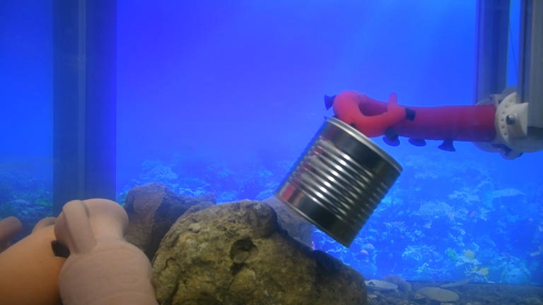 Octopus-inspired robotic arm uses distributed tactile sensors for ...