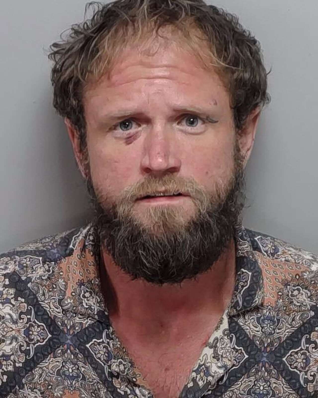 Man charged with animal cruelty accused of slamming kitten on counter ...