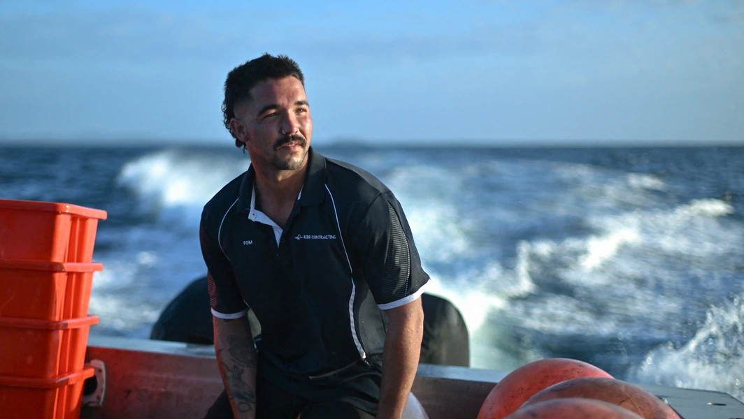 Spearfisher killed in Albany shark attack amid rare spike
