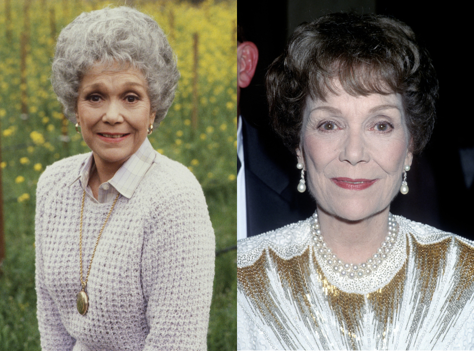 What happened to the cast of Falcon Crest, one of TV's biggest dramas ...