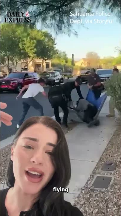 Bear rescue goes hilariously wrong as rescuer lands on sedated bear
