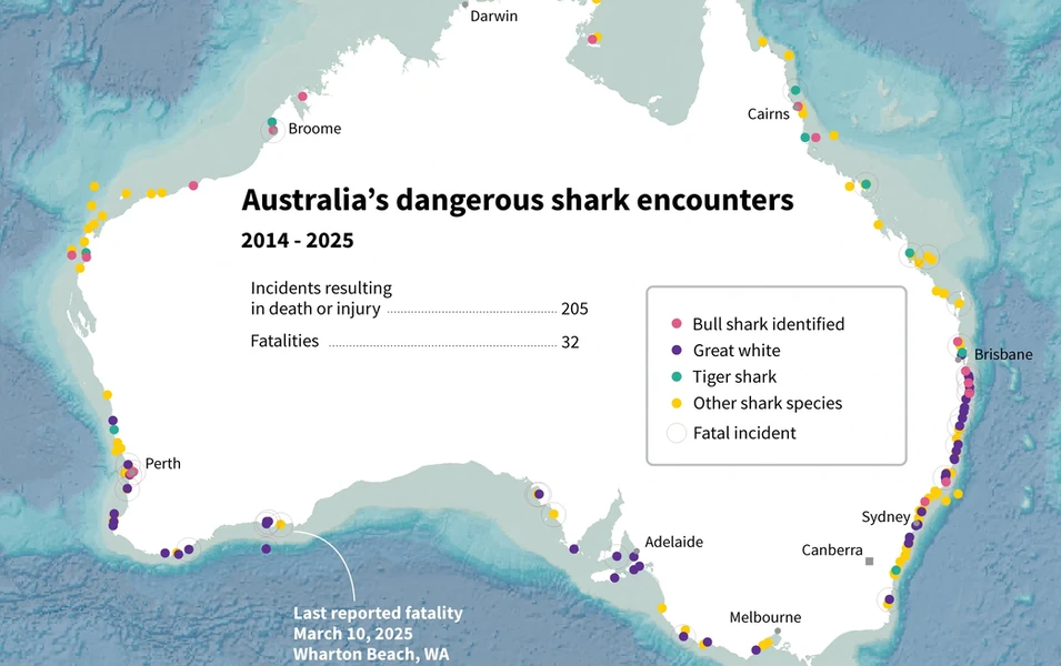 Spearfisher killed in Albany shark attack amid rare spike