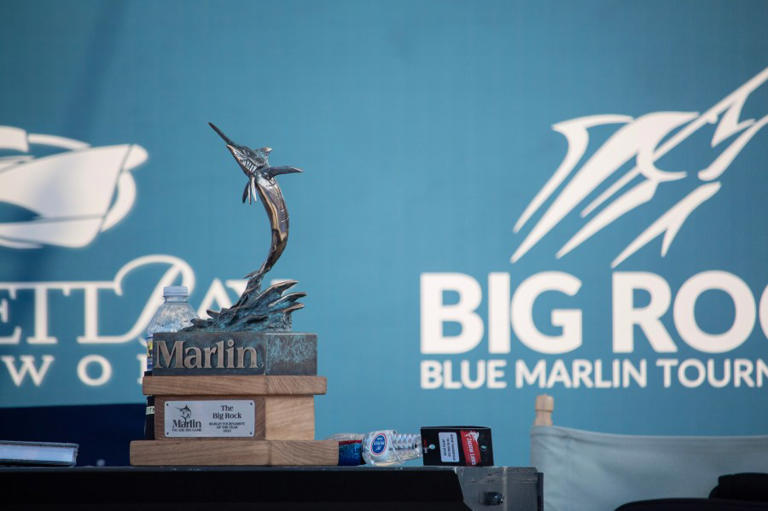 Record-breaking marlin caught at Big Rock Tournament