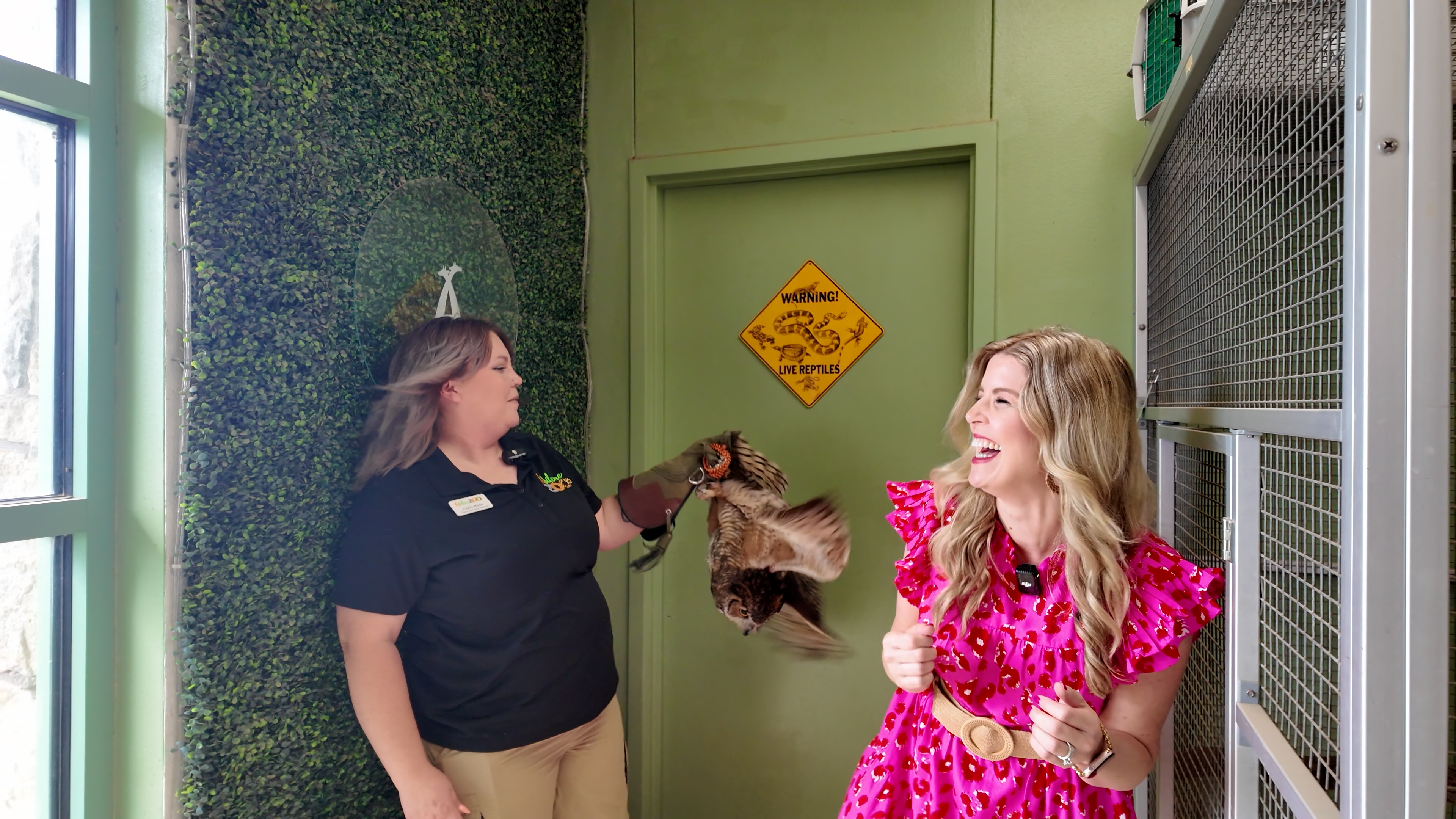 From rescue to education: Abilene Zoo animal ambassadors take center ...