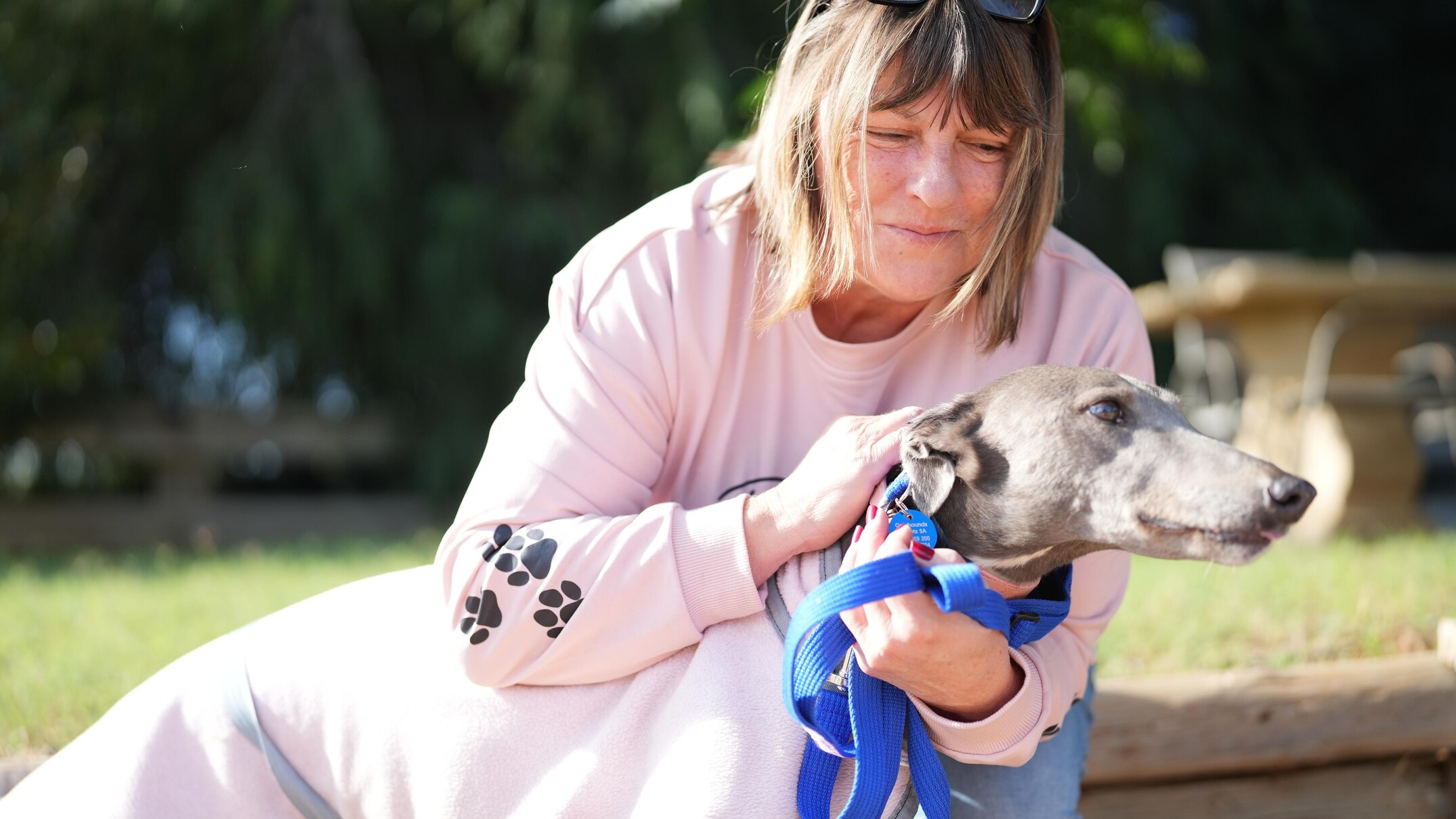 Kennel owner 'shocked' by condition of dogs received from Greyhound ...