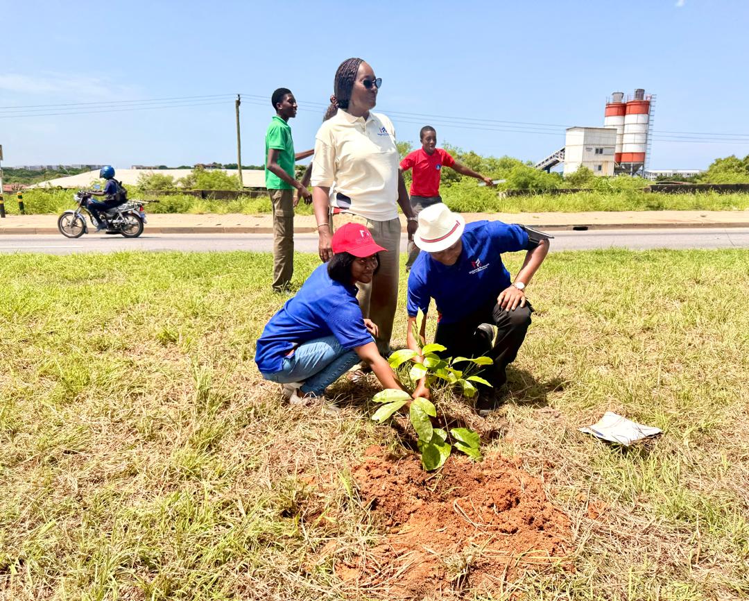 Makers & Partners leads 100-tree planting exercise in Accra