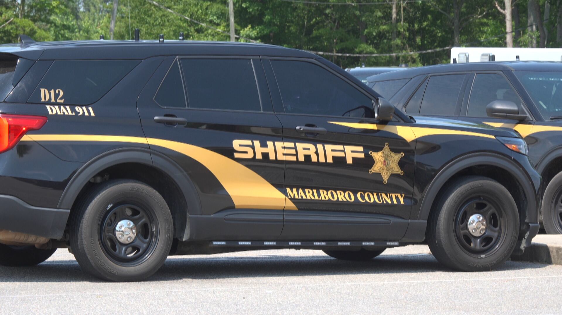 Marlboro County woman charged in connection with fake traffic stop ...